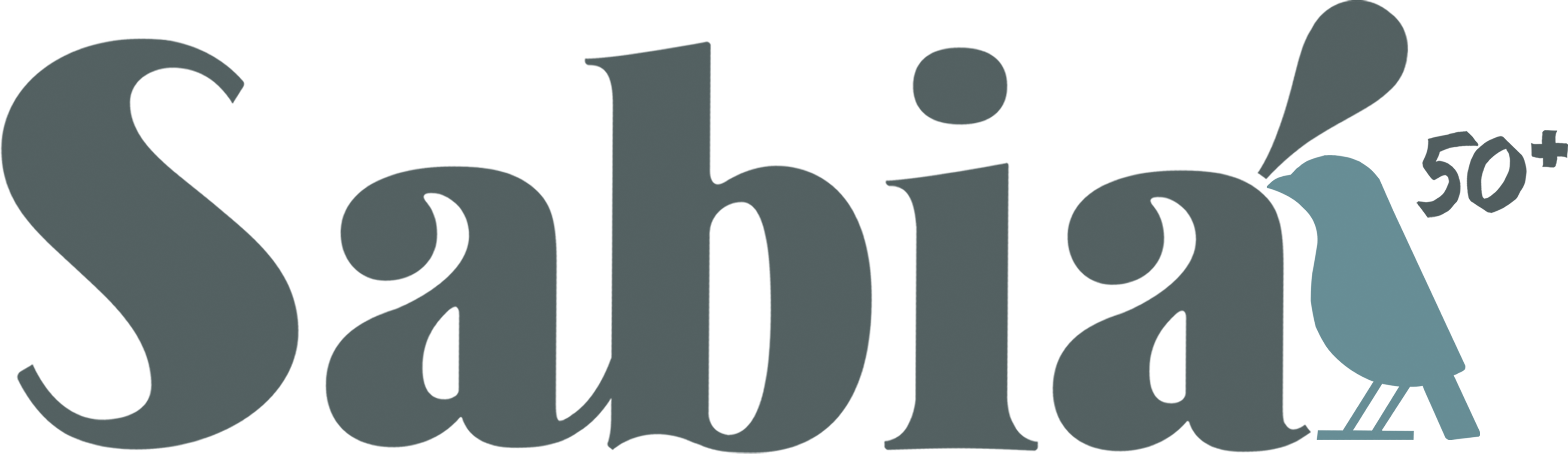 Quem foi Makandal? - Sabiá Portal de conteúdo dedicado aos 60+